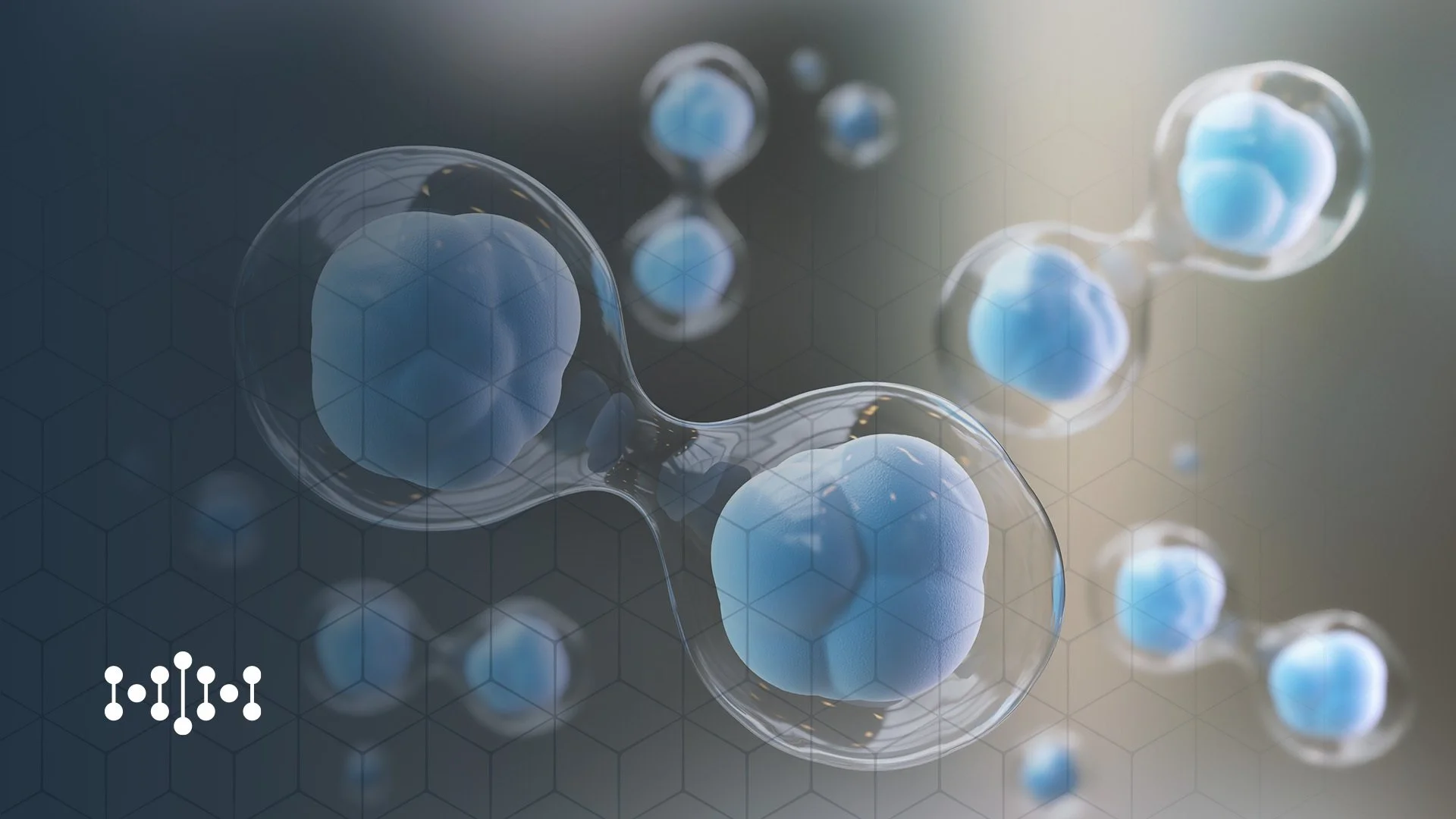 Treatments — Bioadvanced Medical Center