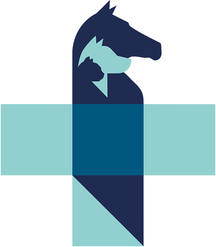 Protein Drink for Dogs: Benefits, Safety, and When to Use One - Innovet ...