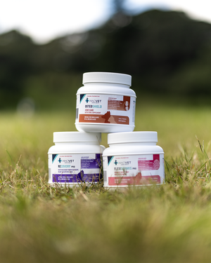 Innovet Animal Health