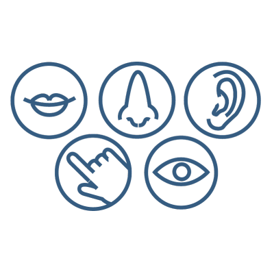 Sensory/Physical — Sir Thomas Fremantle School