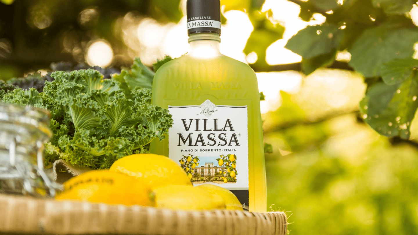 Paragon Brands | Brands