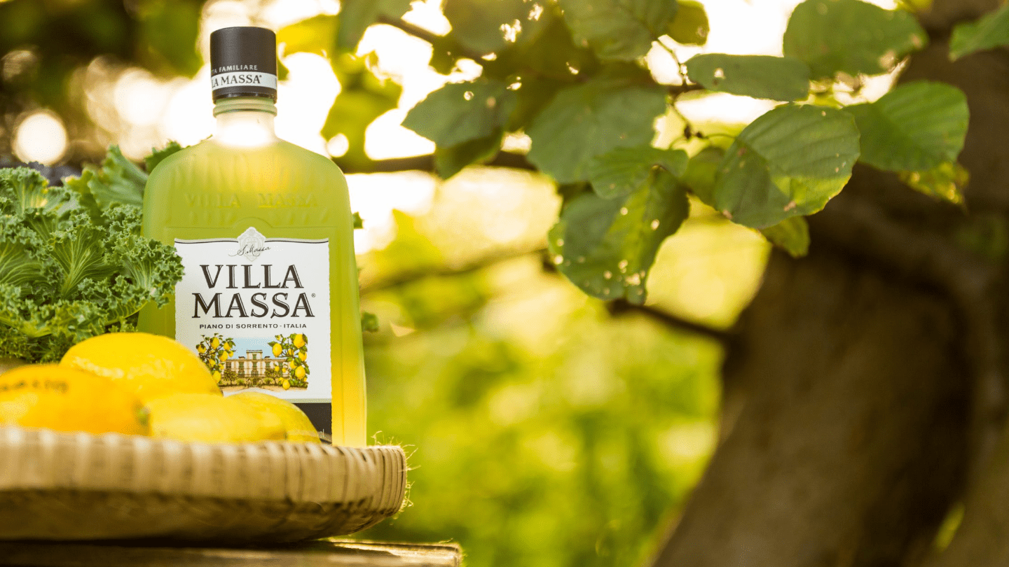 Villa Massa | Paragon Brands