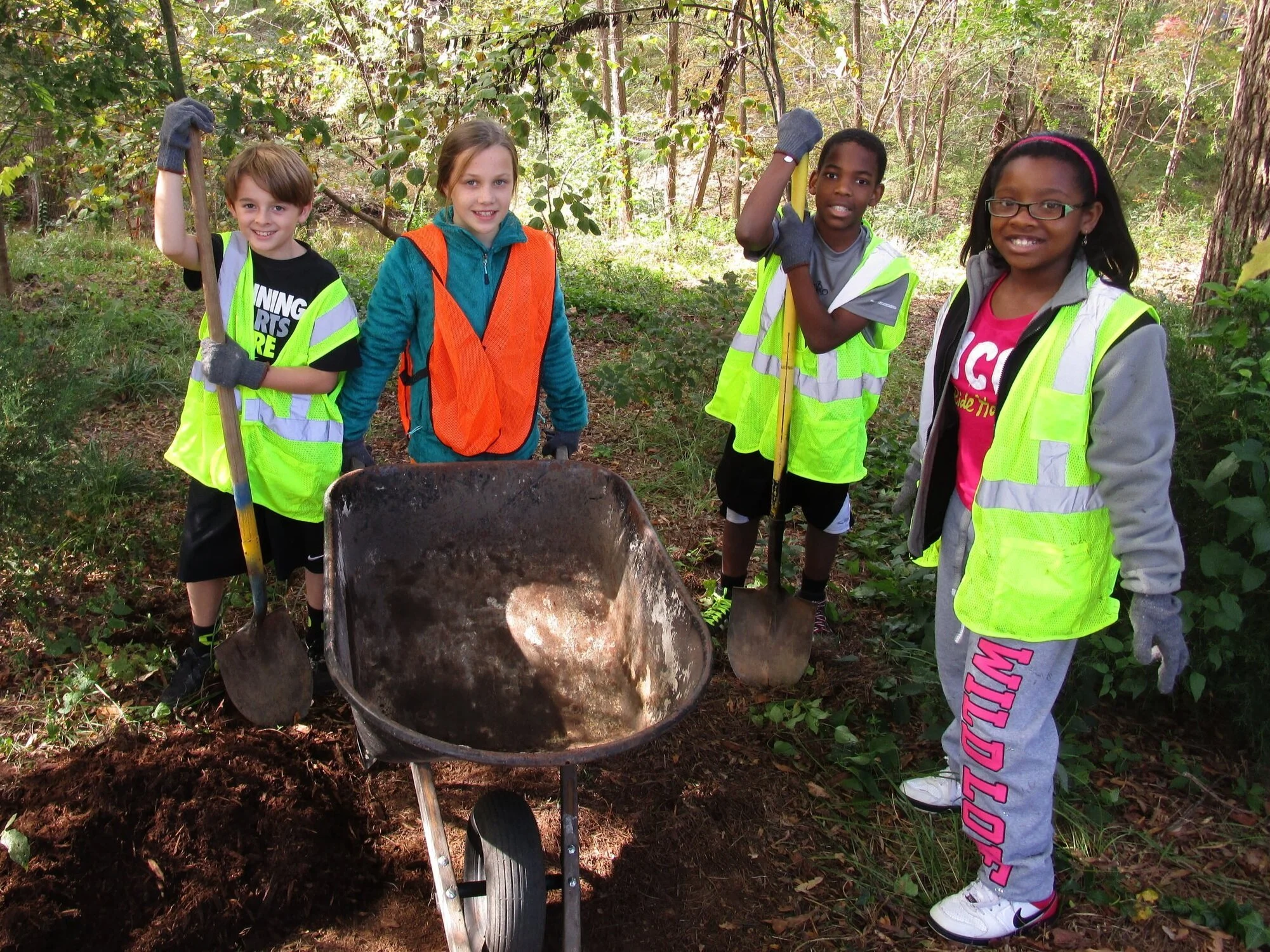 Trees - Home — We Plant it Forward