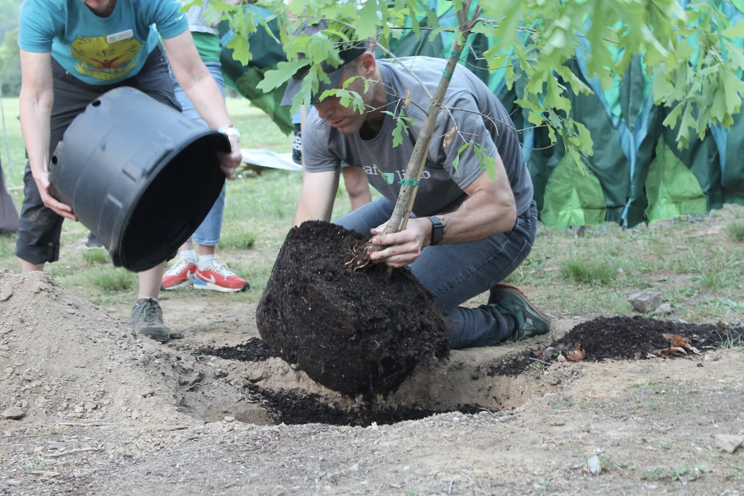 Raleigh Arbor Day — We Plant it Forward