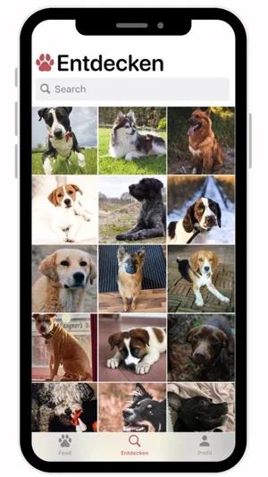 Petch - the perfect match