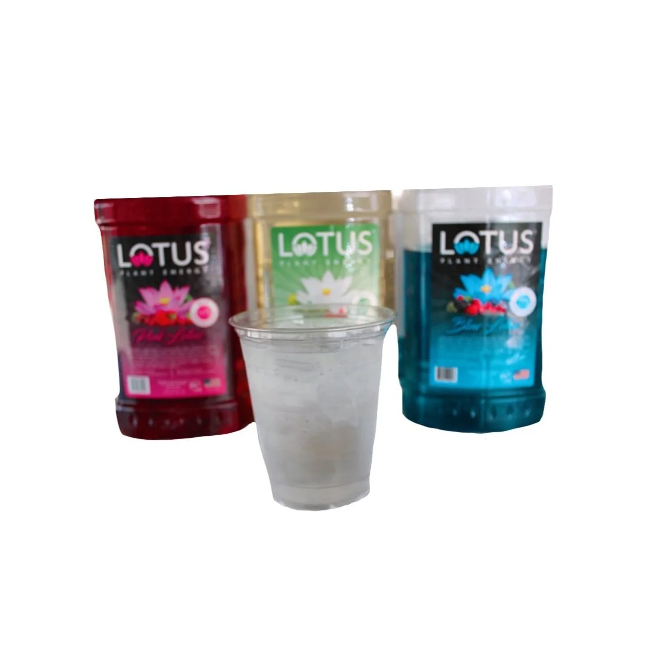 LOTUS ENERGY — STOCKYARD COFFEE