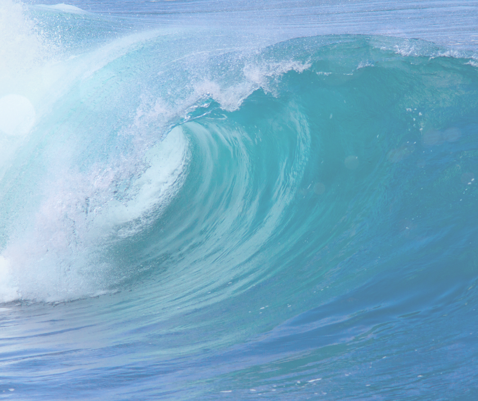 Services 2 — Ocean Crest Ventures