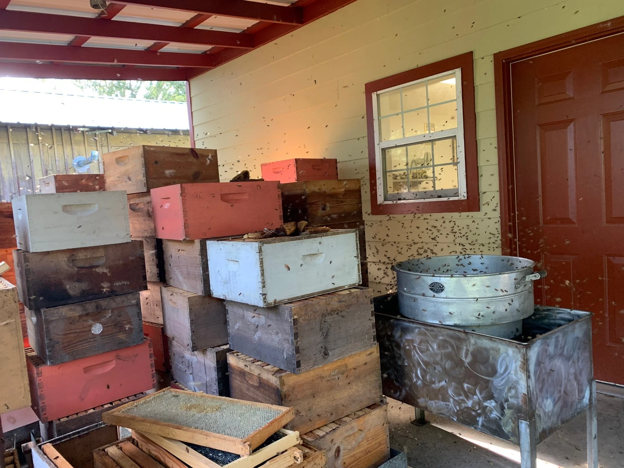 HONEY — Saint Joseph Abbey