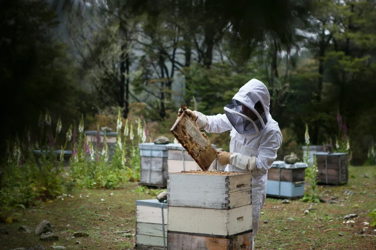 HONEY — Saint Joseph Abbey