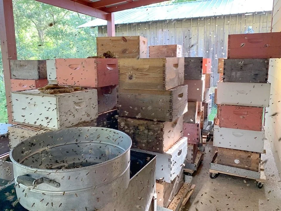 HONEY | Explore, Support, Connect Now — Saint Joseph Abbey