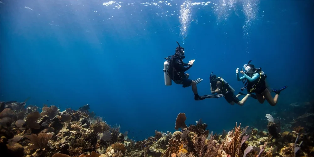 Classes — Dive Outdoors in Redding, CA