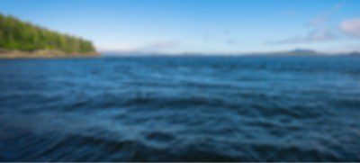 Sport Fishing Institute of British Columbia