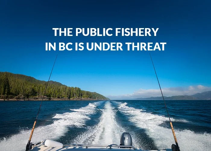 Sport Fishing Institute of British Columbia