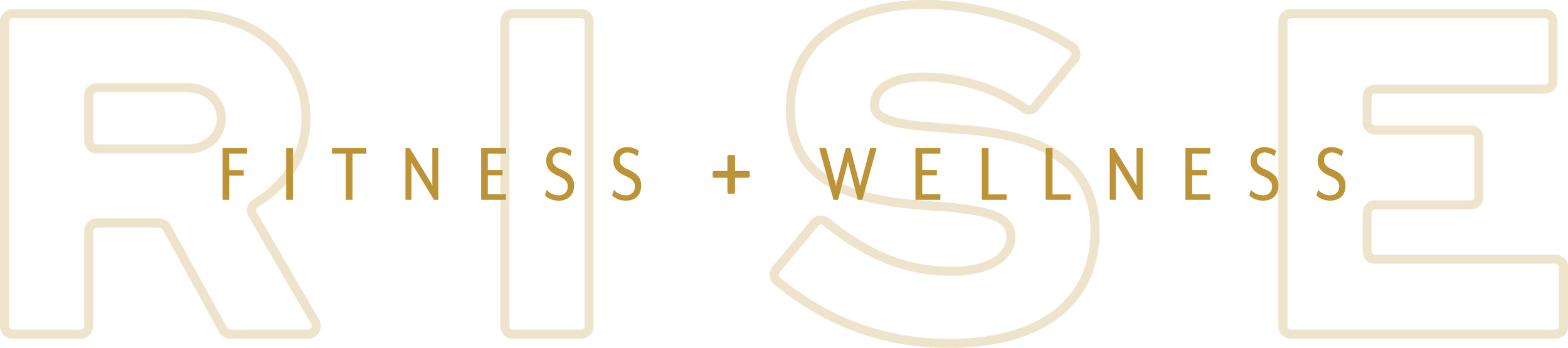 Pilates Memberships — Rise Fitness + Wellness