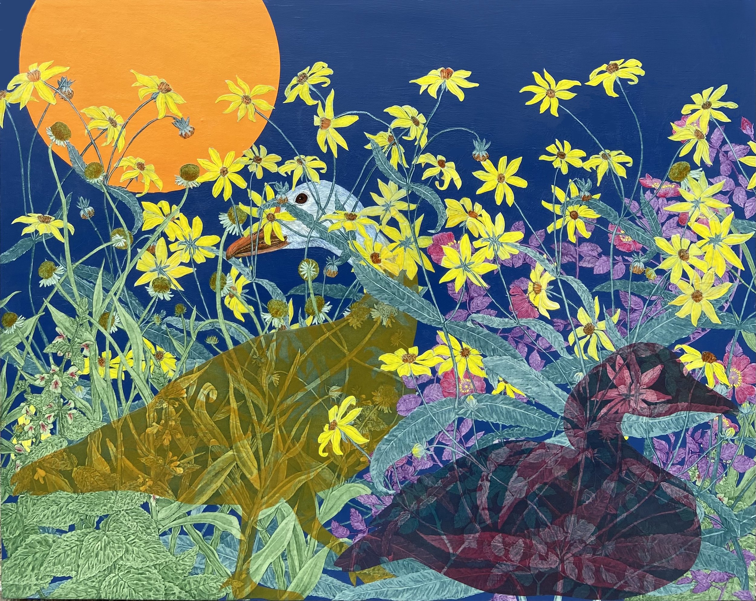 Contact — JULIA LUCEY