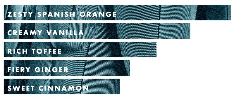 Award-Winning Spiced Rum 70cl | Smooth Orange, Vanilla & Ginger — WE ARE CURIOUS CREATURES