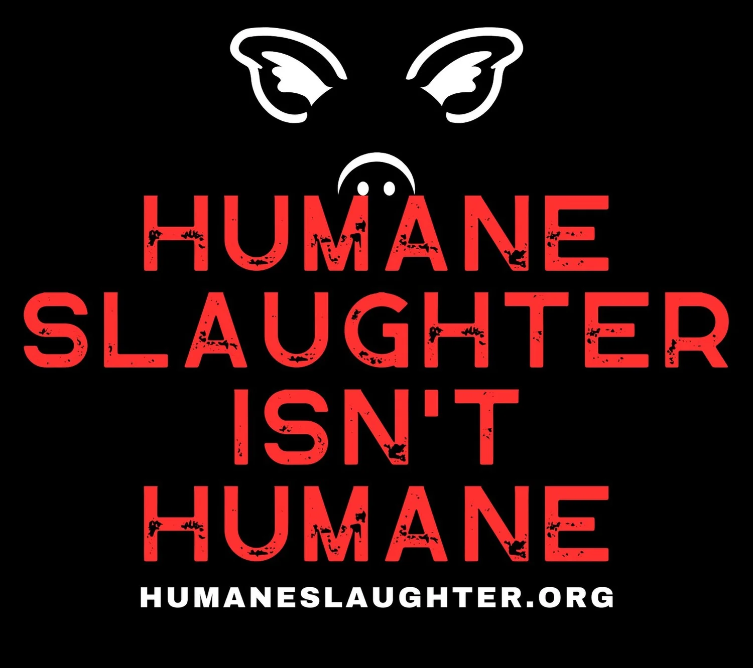 FAQS — Humane Slaughter Isn't Humane