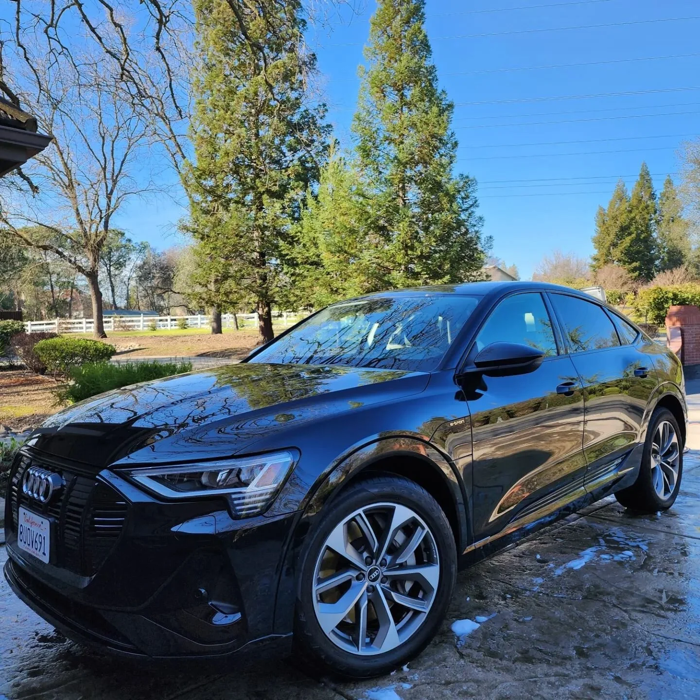 Dedicated Mobile Detailing