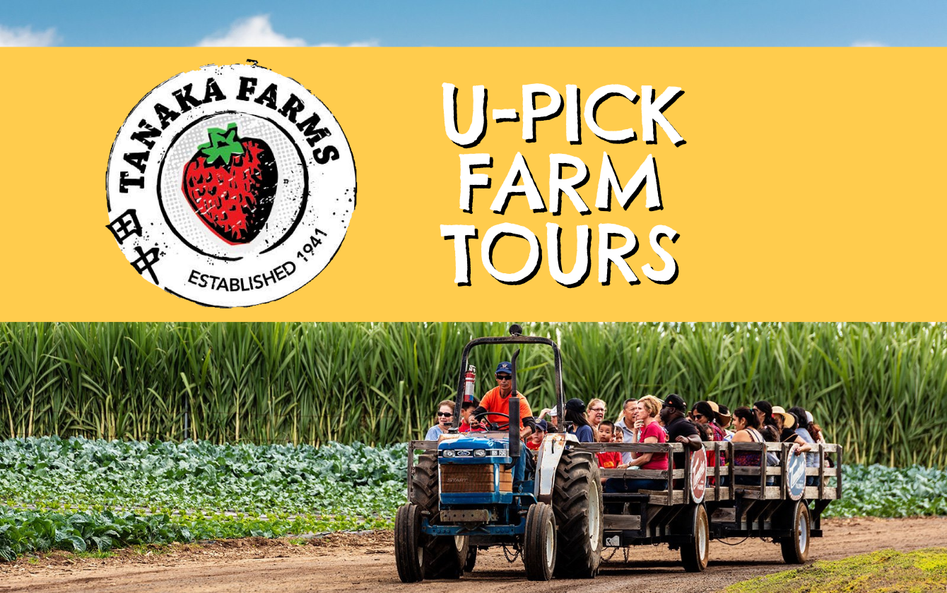 Tanaka Farms