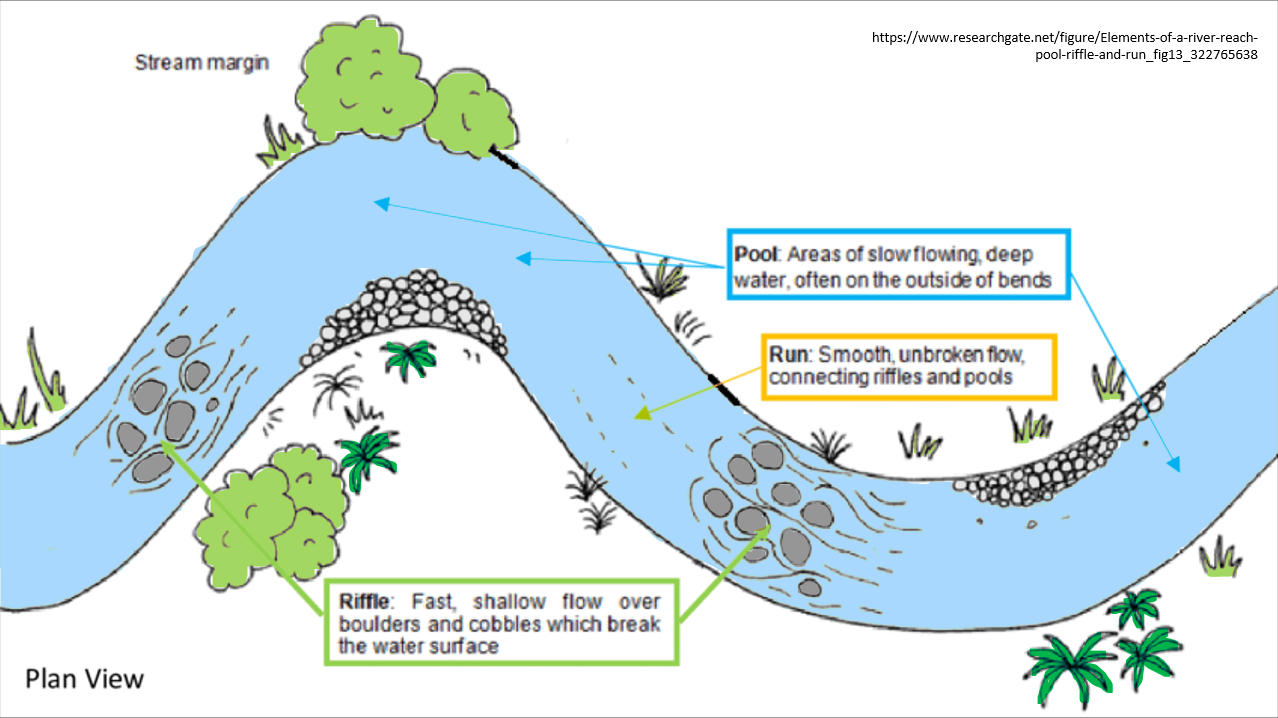 Protect the habitat of indigenous freshwater species — Wai Good Policy