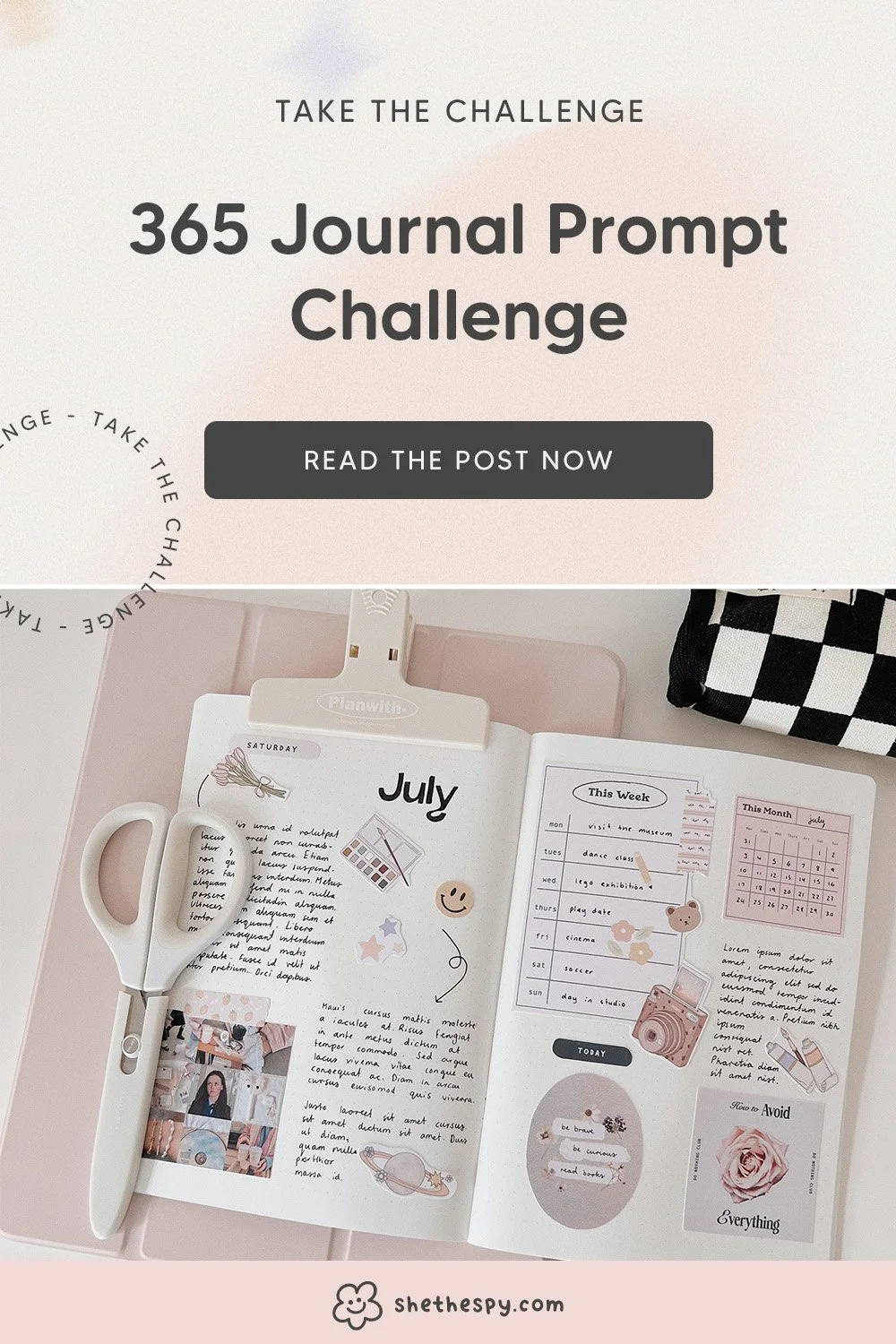 365 Day Journal Prompt Challenge — She The Spy
