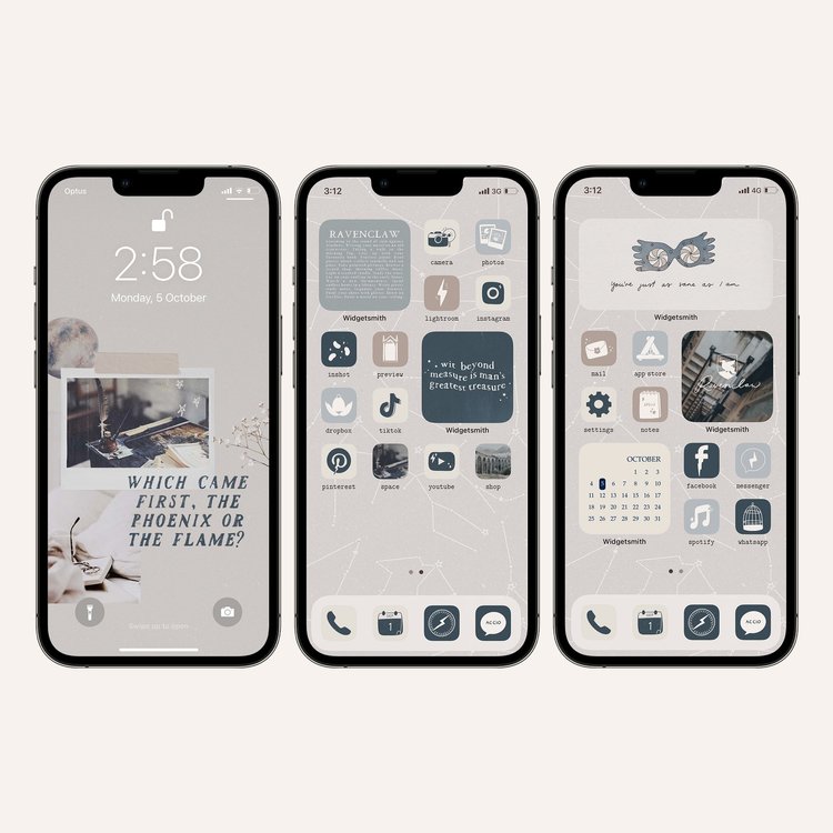 Coquette Icon Theme — She The Spy