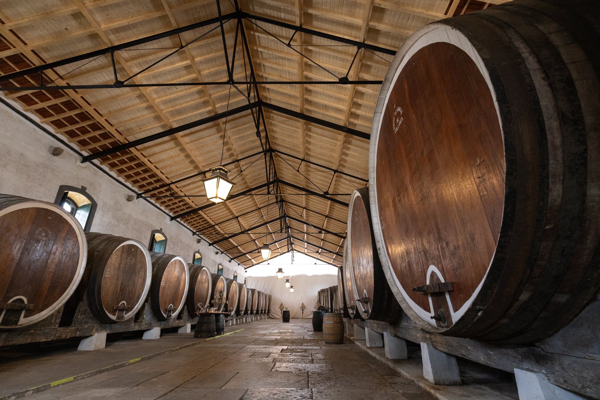 Adega de Colares, a produzir vinho desde 1931 — Made in Sintra