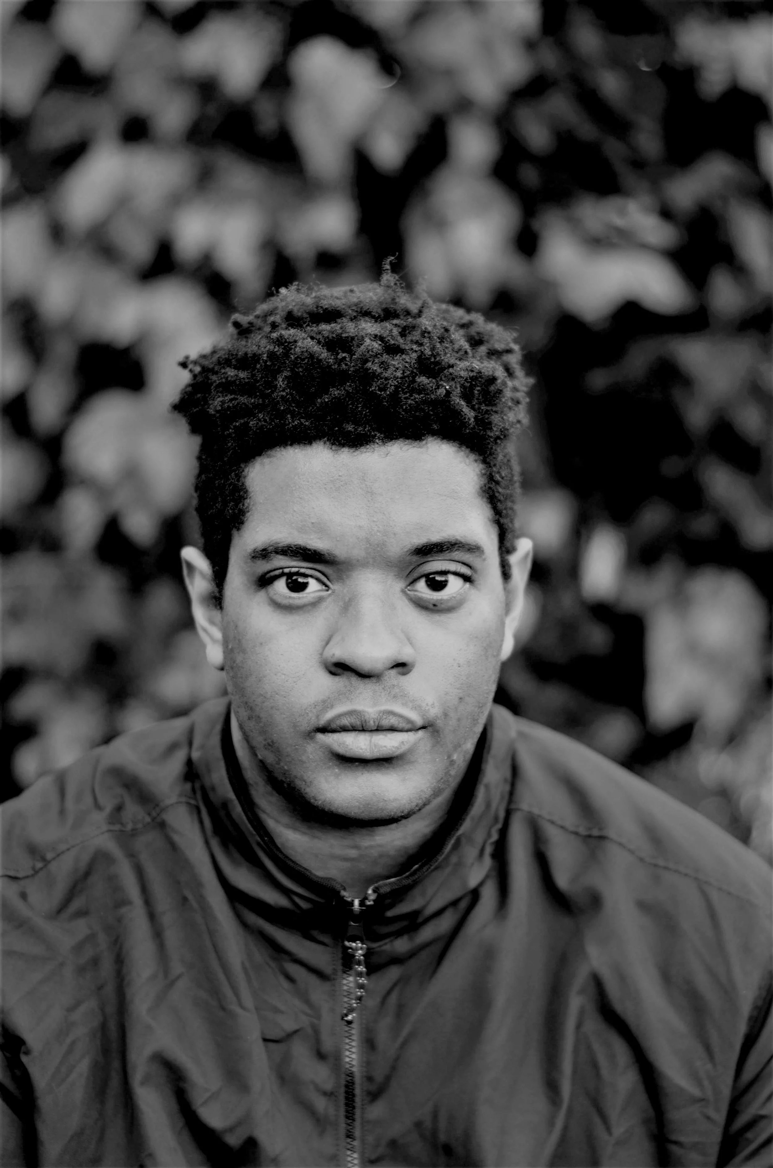 About — David Peddie