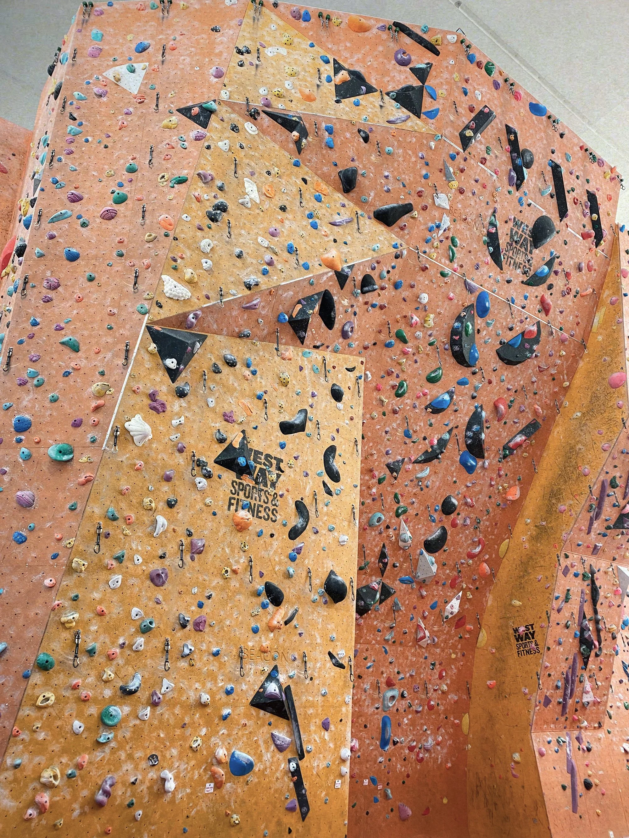 Social Climbers Society