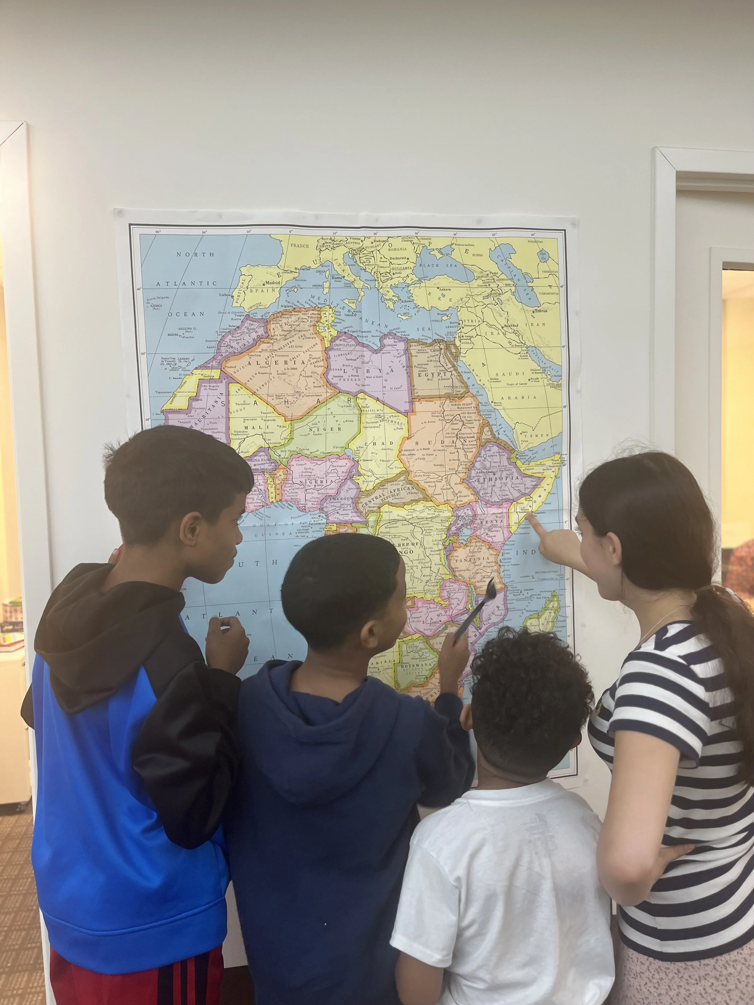 NYC Migrant Crisis — Project Rousseau