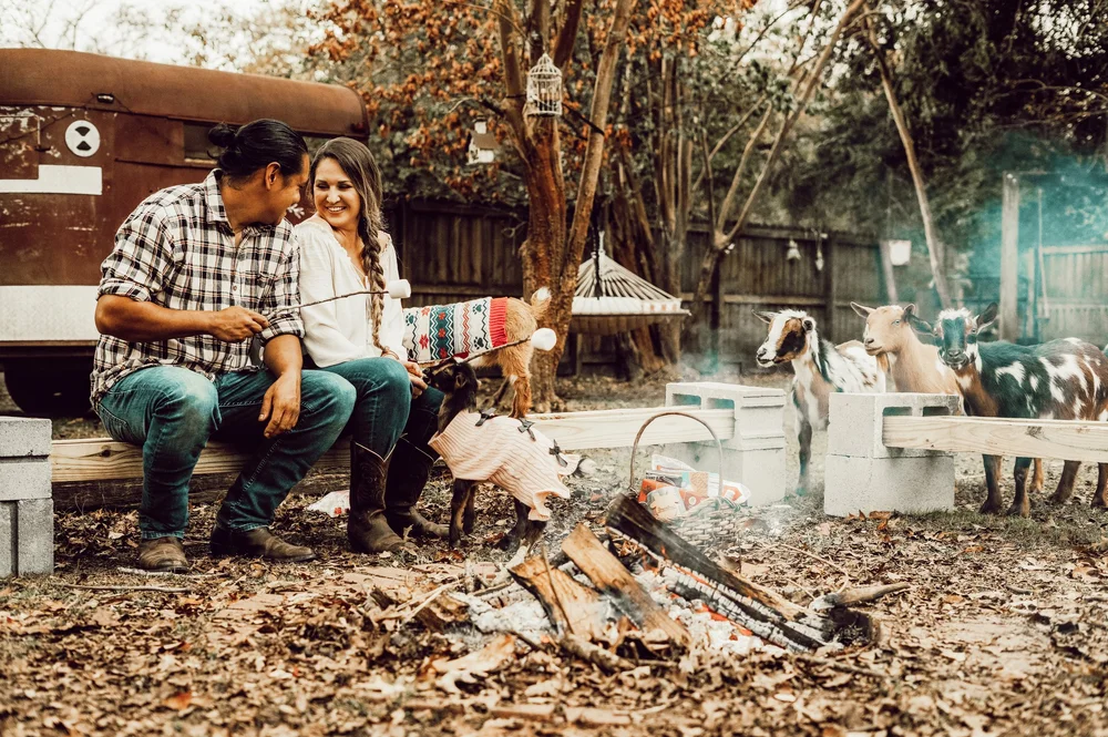 Farm Experiences — Flowertown Charm