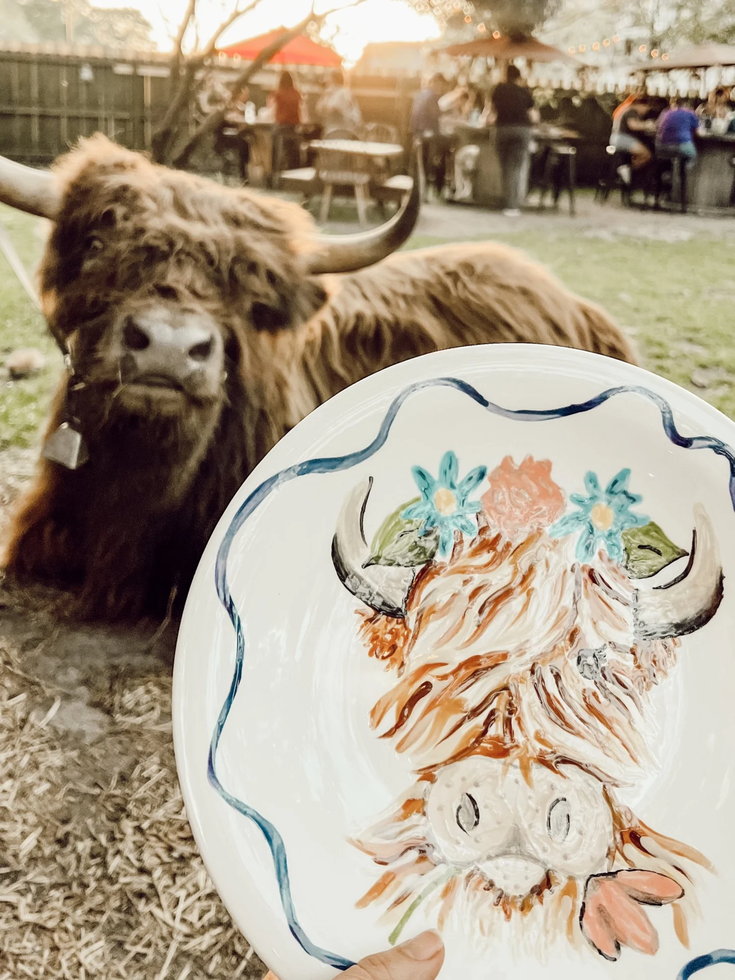 Farm Experiences | Experience Farm Fun Today — Flowertown Charm