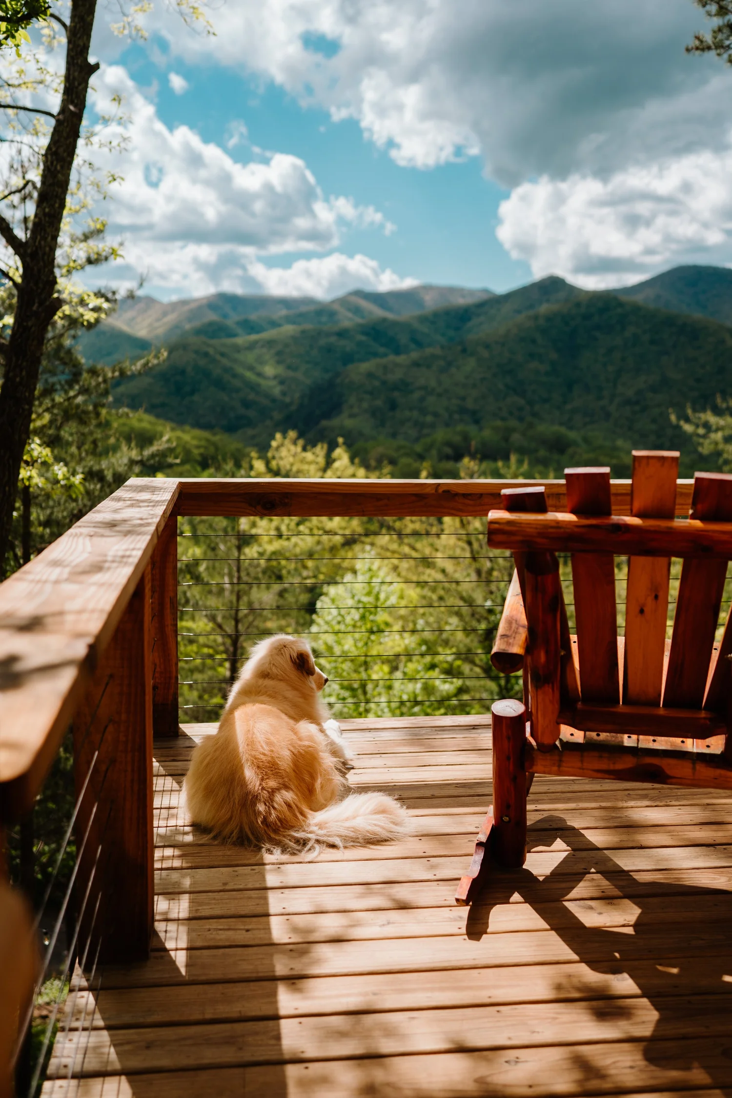 Flowertown Charm | Discover Farm Adventures Today