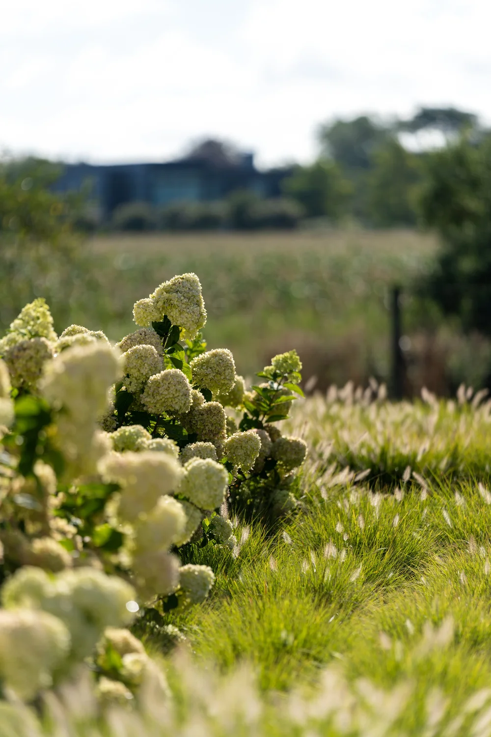 PARSONAGE FARM — LaGuardia Design Group