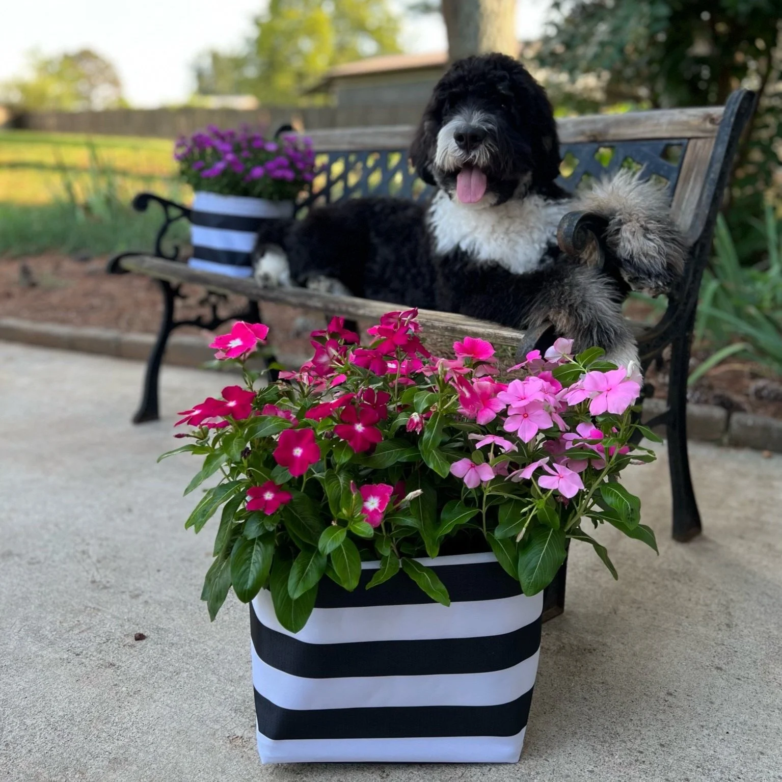 About old | South 23rd Decorative Planter Covers