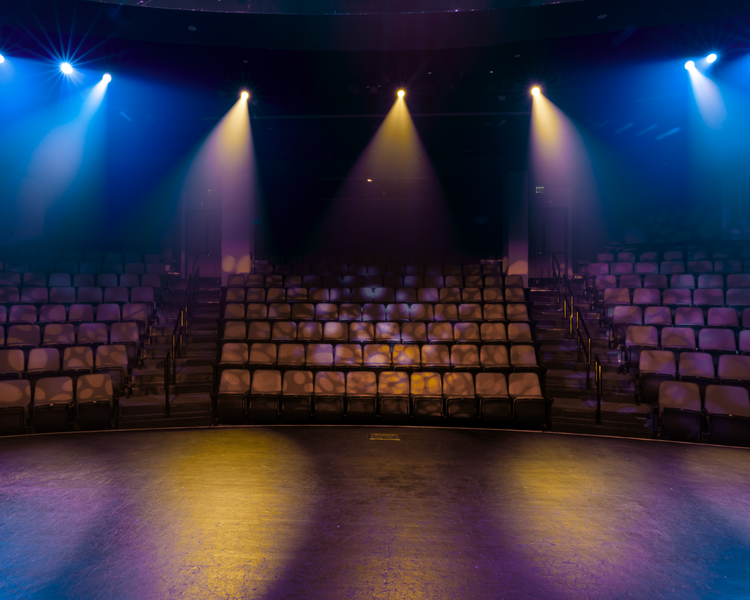 Seating Chart — The Library Theatre
