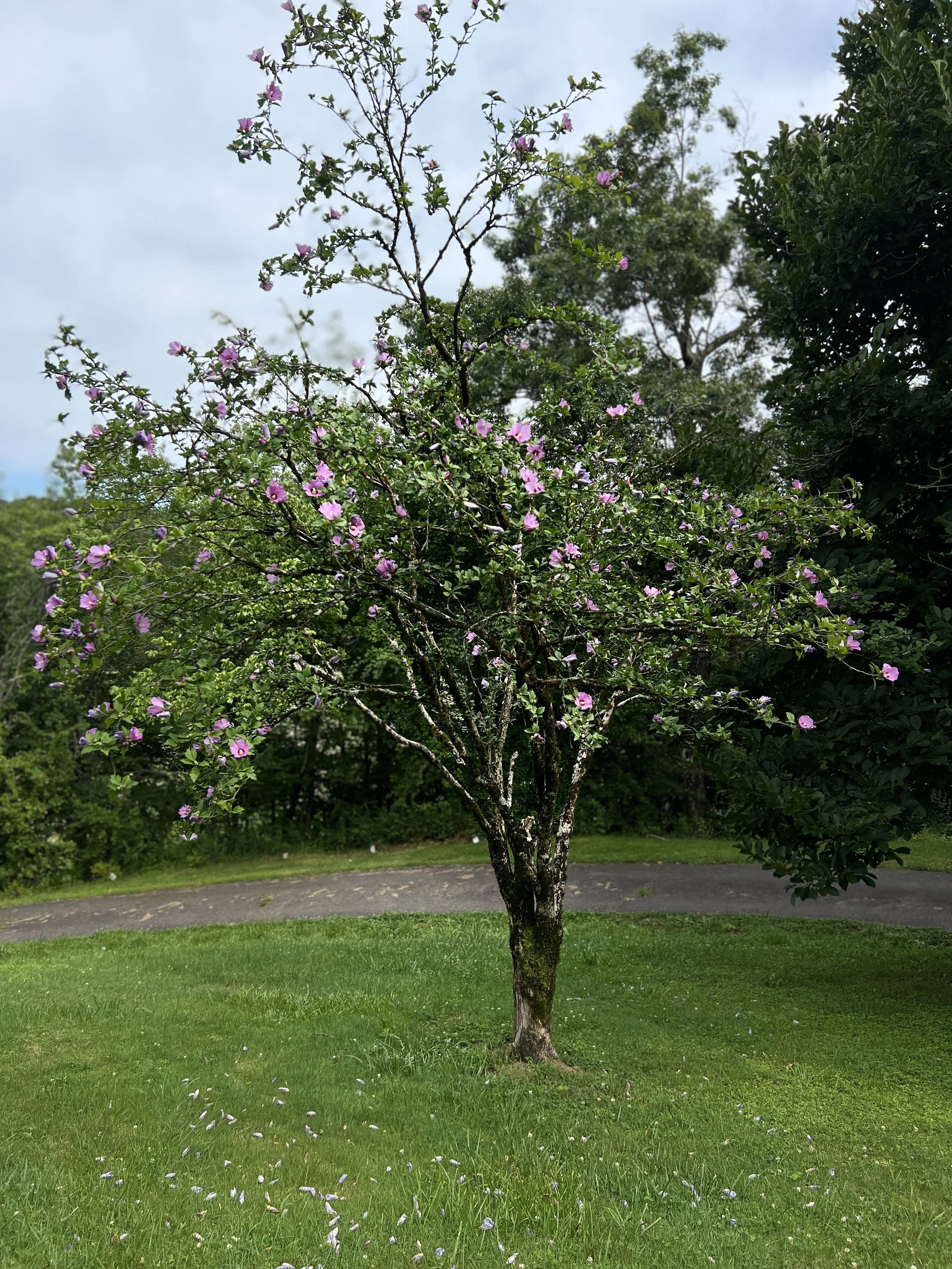 Casa Canaan Farm