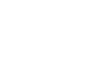 Webcams — Gecko Broadband
