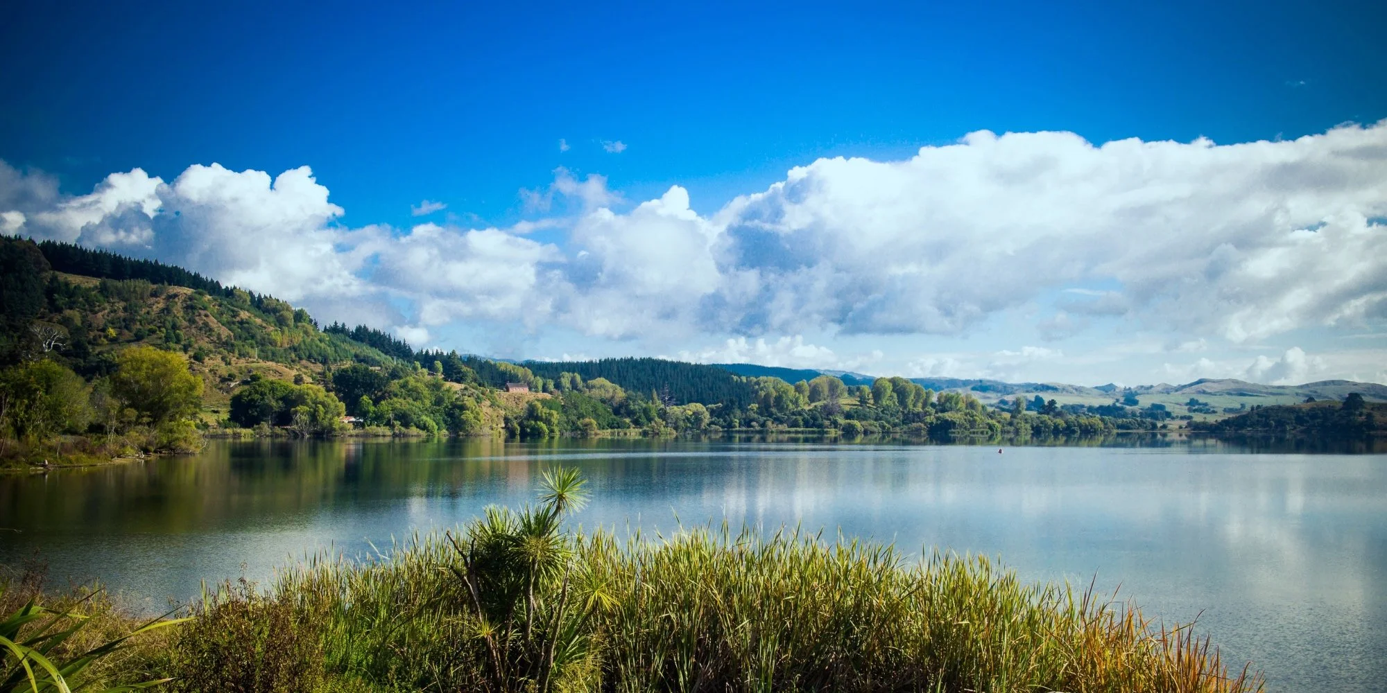 Webcams — Gecko Broadband