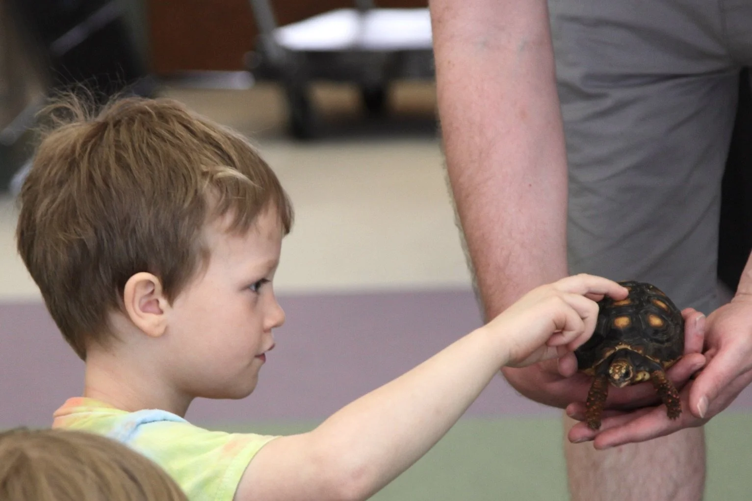 Creature Features LLC