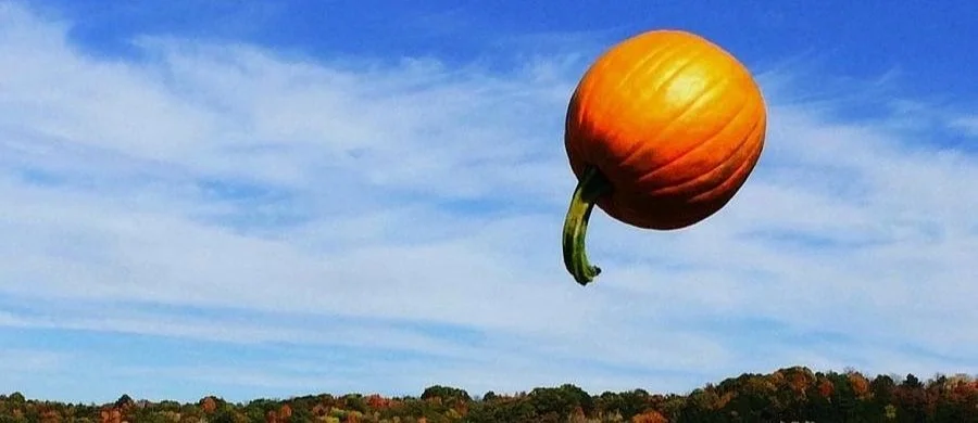 Williams Family Farm