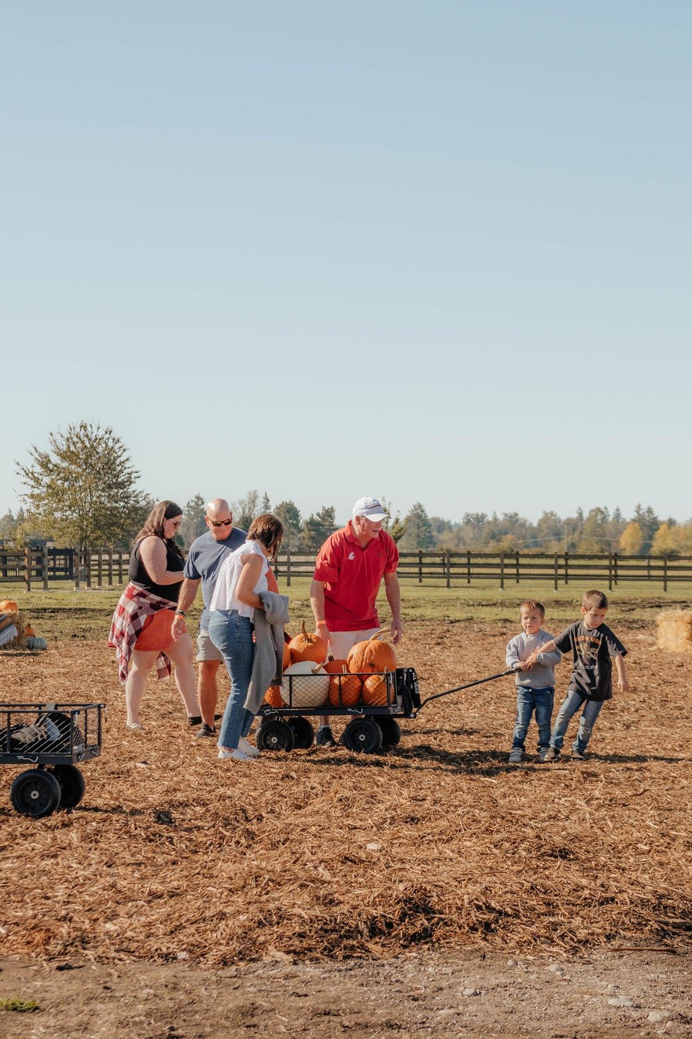 Williams Family Farm