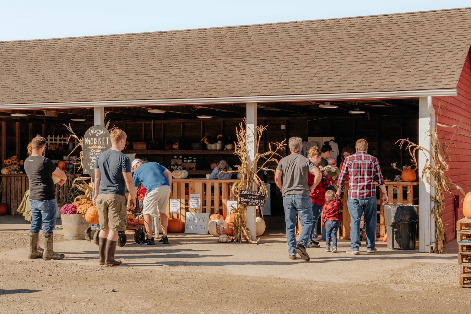Williams Family Farm