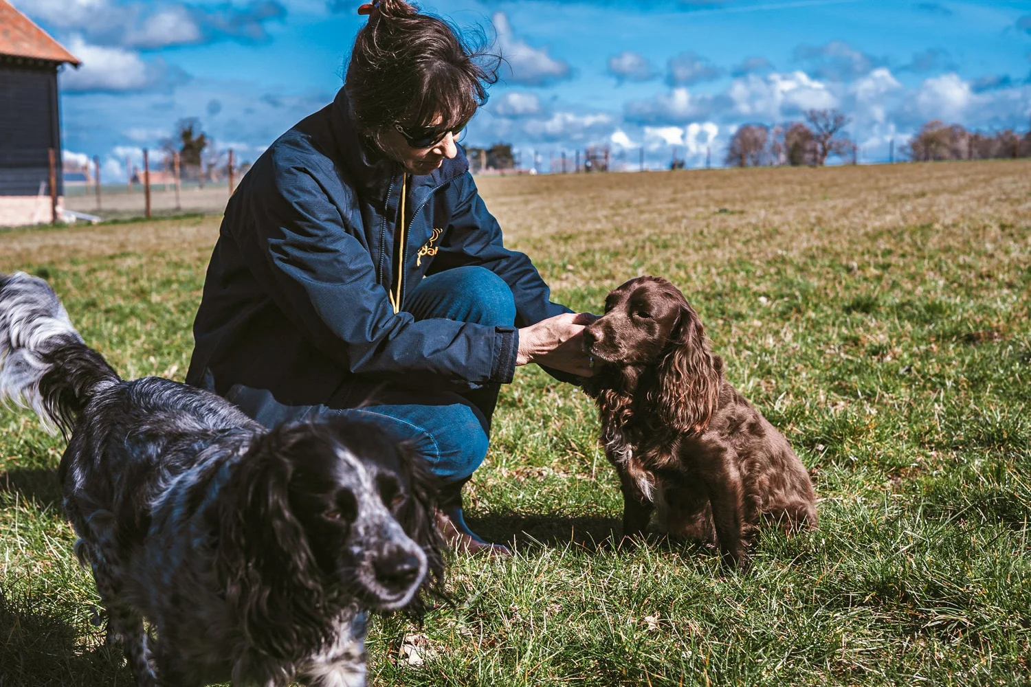 Wagdale: Secure Dog Field for Hire | Barnham Broom | Norfolk