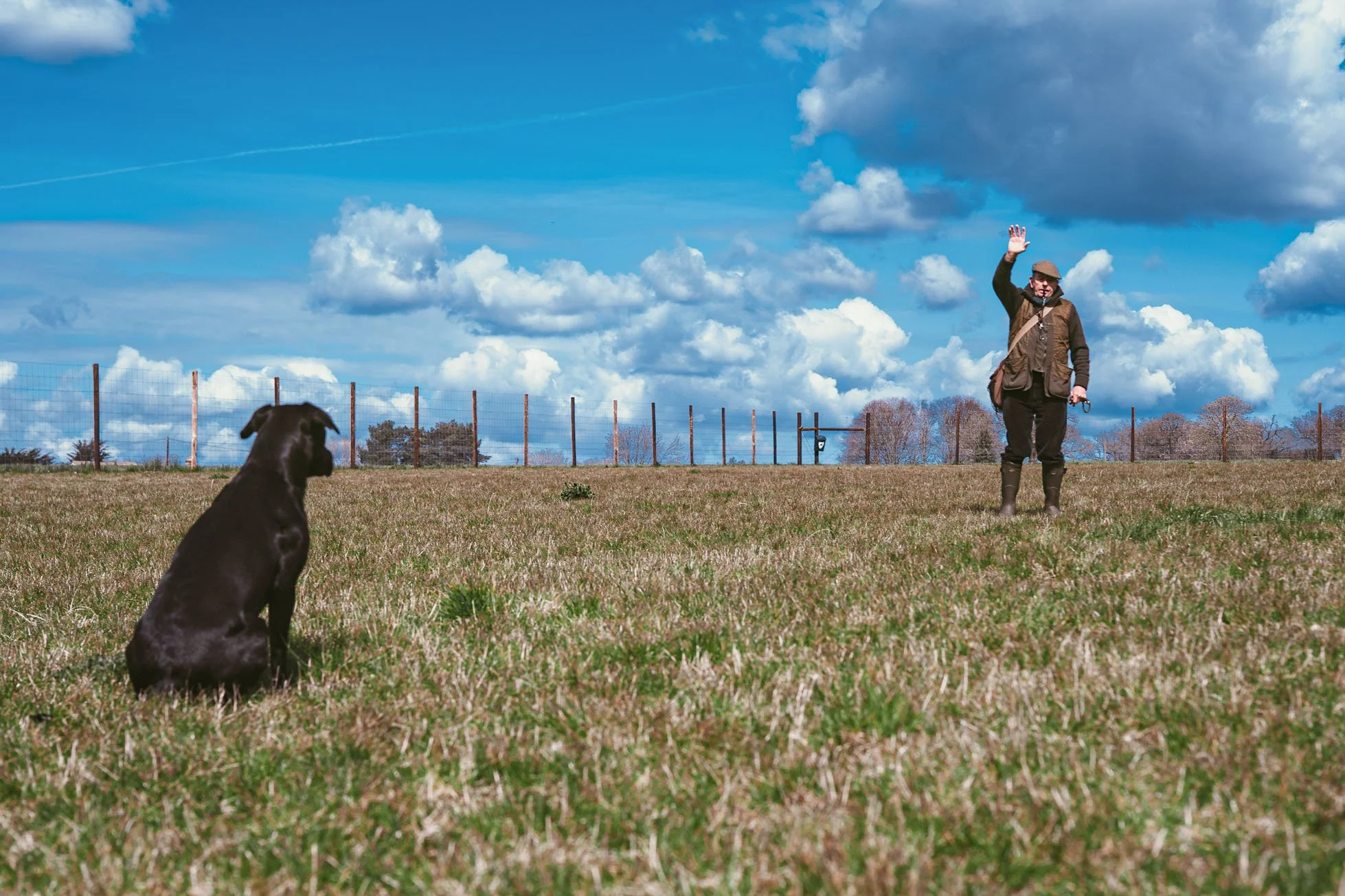 Wagdale: Secure Dog Field for Hire | Barnham Broom | Norfolk