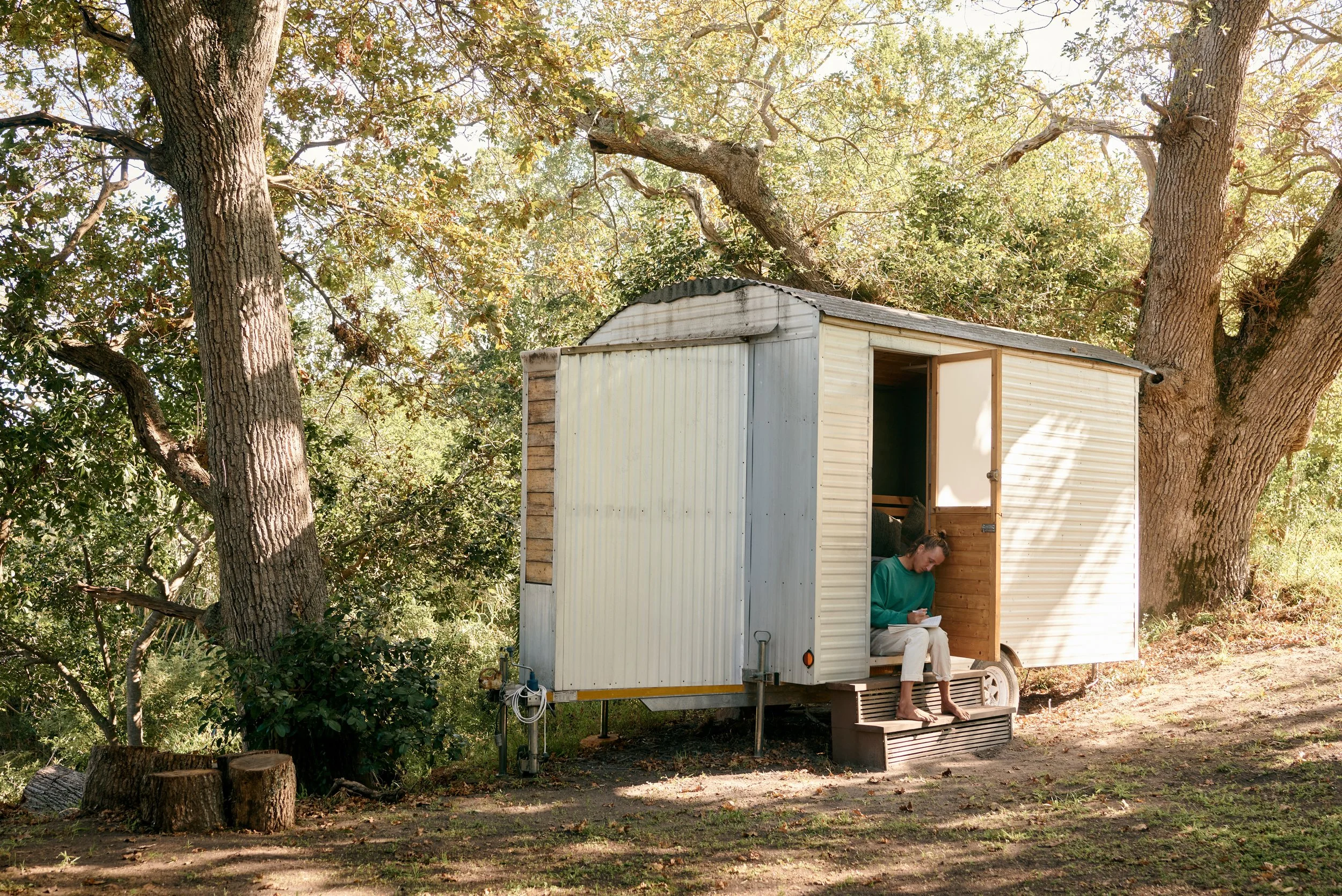 The Wild Pod — Bodhi Khaya