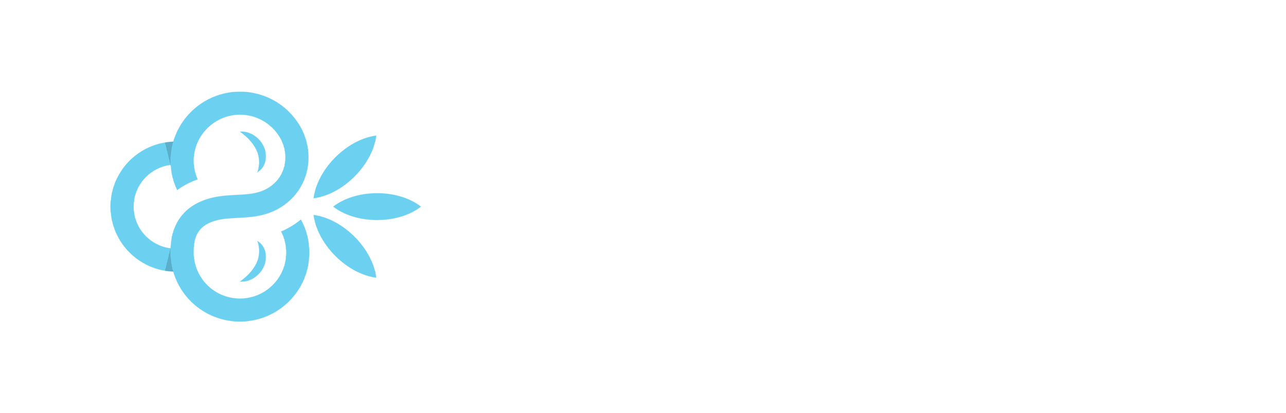 FlowBerri Advertising - Digital Marketing | Google Ads PPC