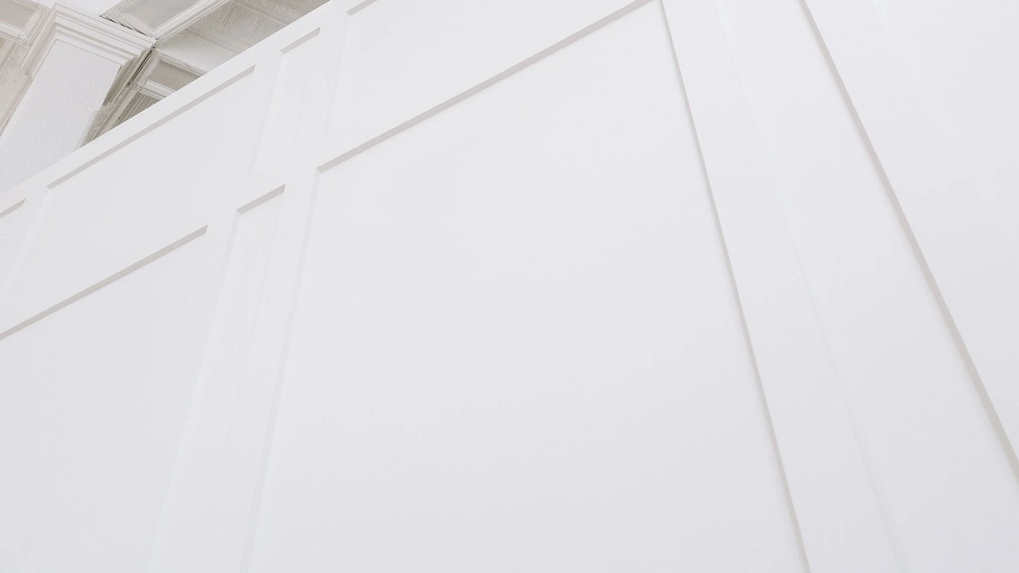 Professional — gordon green