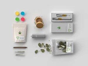 Recreational - High Rollers — HIGH ROLLERS