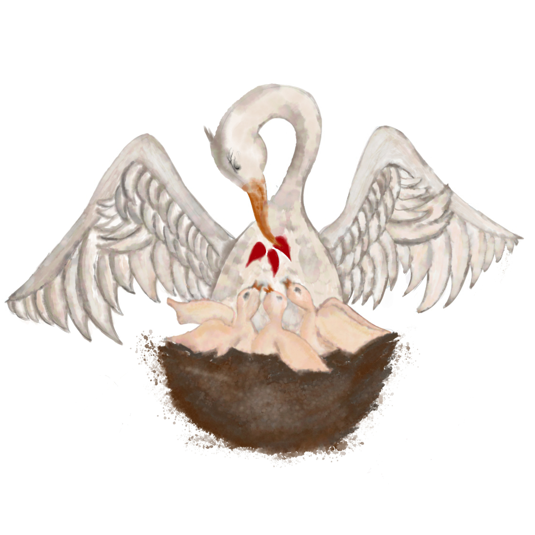 Why The Pelican Project? — The Pelican Project